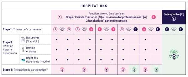 Organisation et programme de formation – IFEN